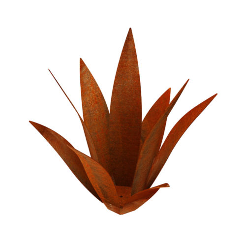 Agave 65 DHACIER® - Aménagement extérieur - DHACIER